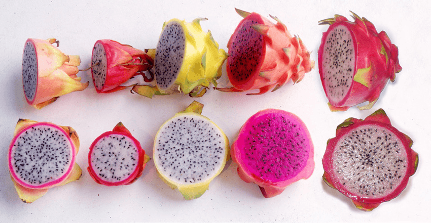 Pitaya: ela é a fruta da vez, melhor amiga da dieta e da saúde